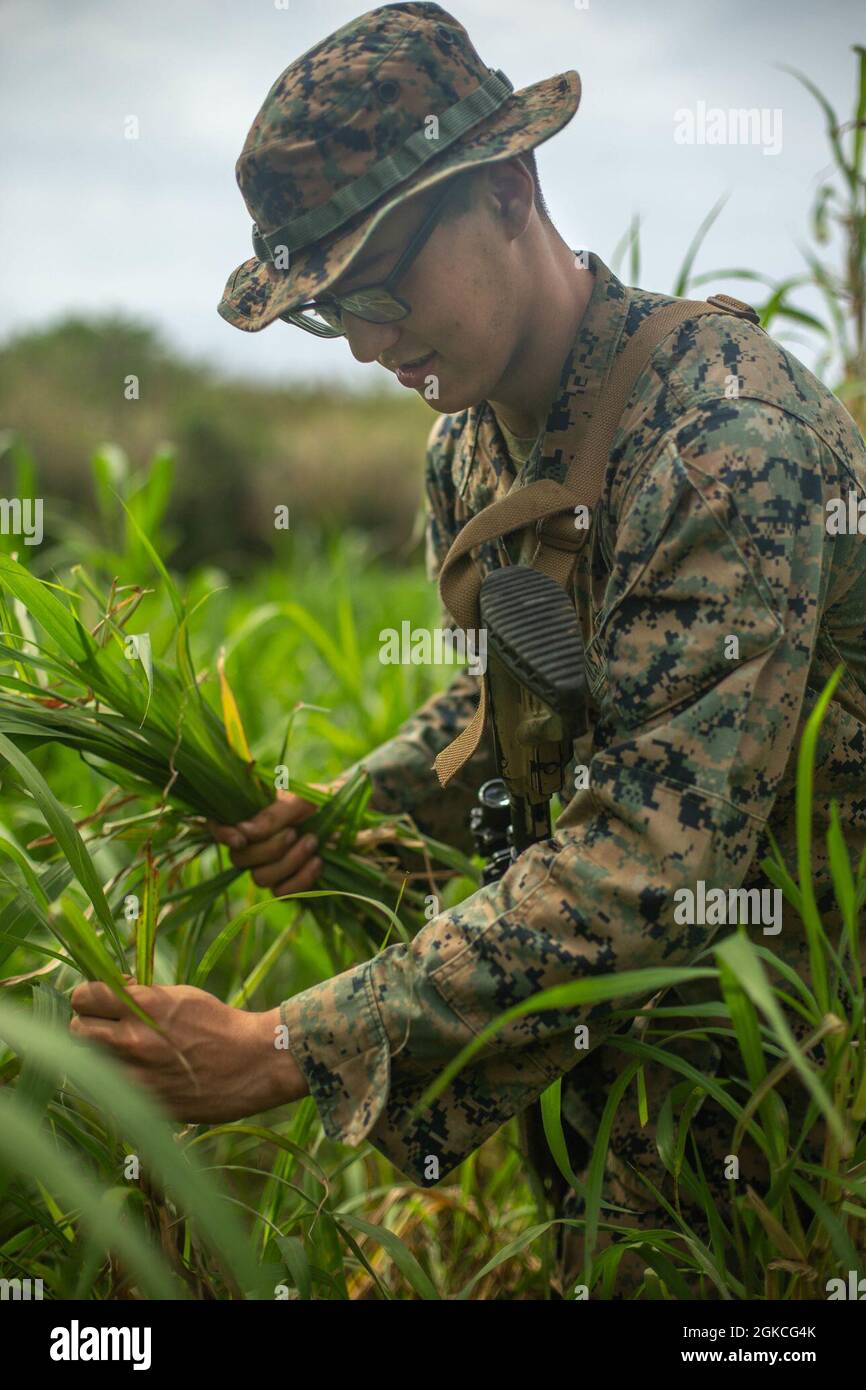 U.S. Marine Corps Lance Cpl. Ryan Macpherson, a rifleman with 3d ...