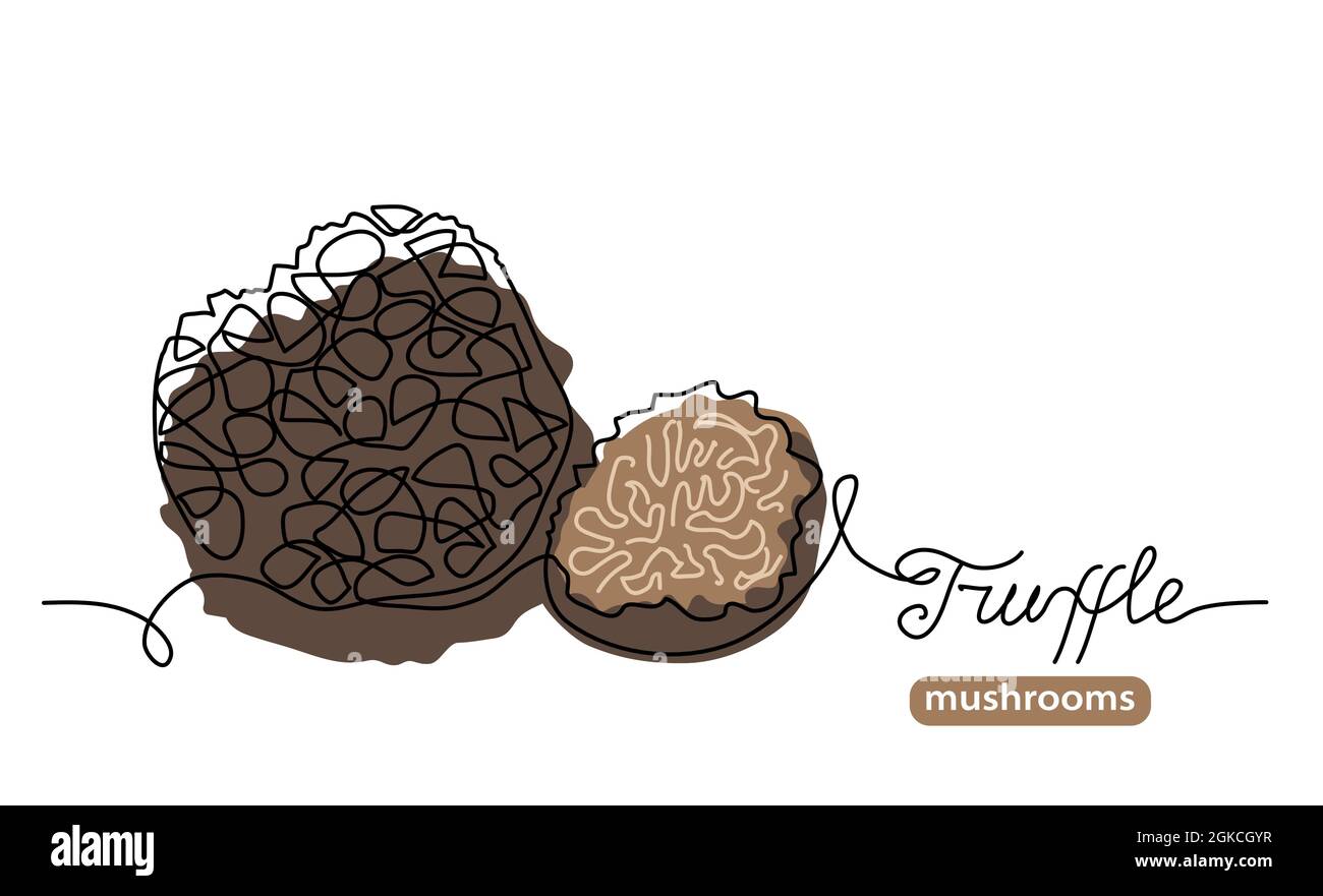 Black truffle wild mushrooms one line art drawing. Simple vector line ...