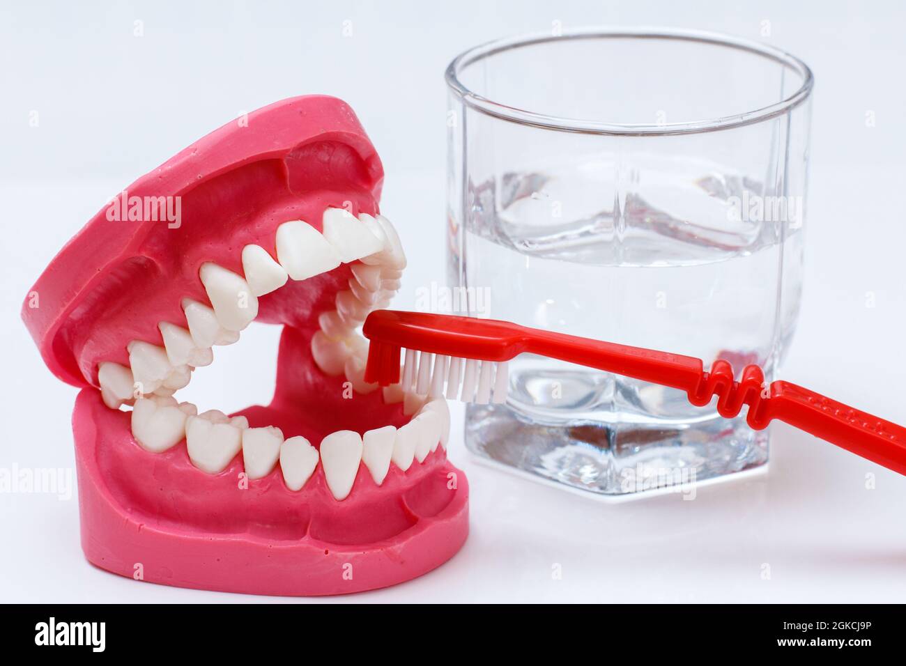 Human teeth water glass hi-res stock photography and images - Alamy