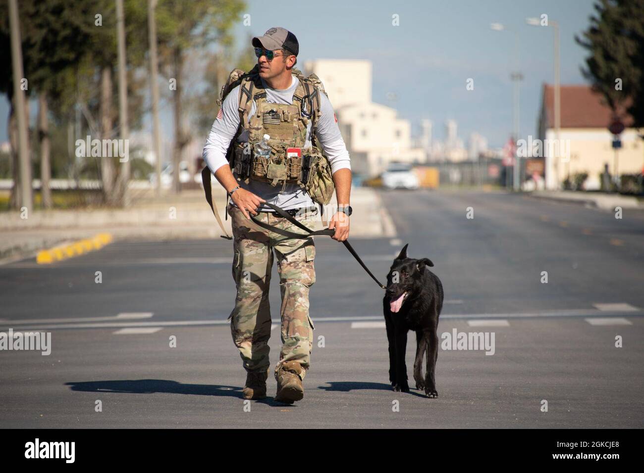 Security forces k9 handler dog hi-res stock photography and images - Alamy