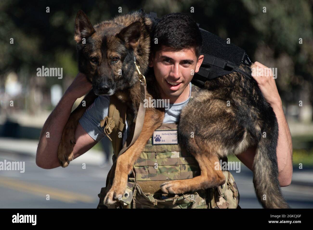 Security forces k9 handler dog hi-res stock photography and images - Alamy