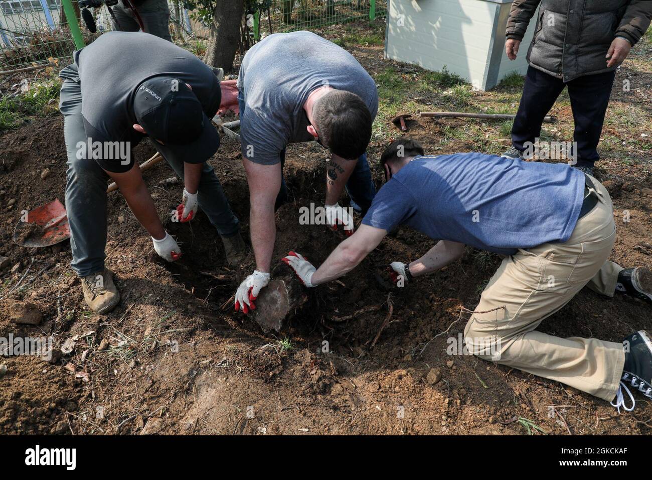 U.S. Marines with U.S. Marine Corps Forces – Korea remove a tree stump ...
