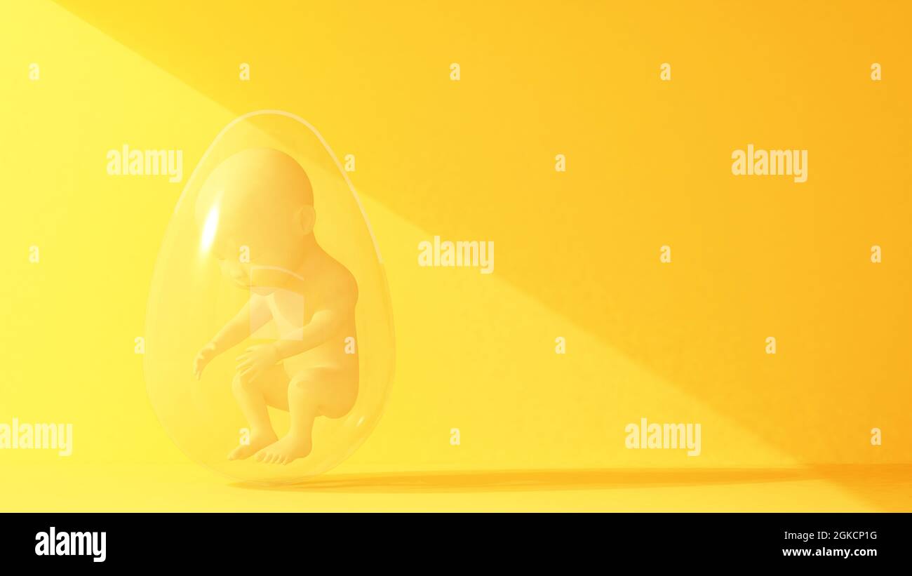 human embryo in transparent egg in beam of light. 3d rendering Stock ...