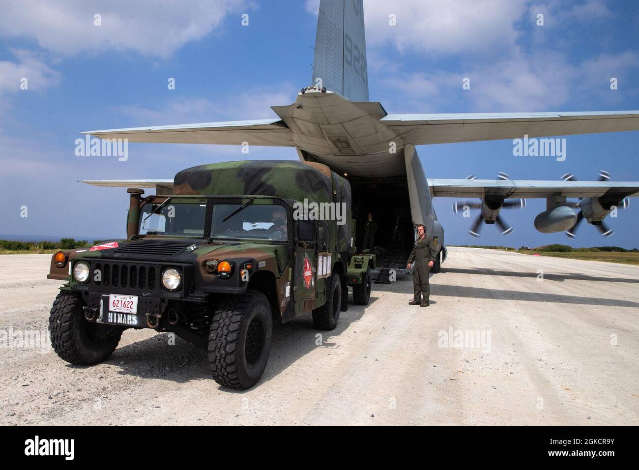 Castaway Wing Paintings On Trucks