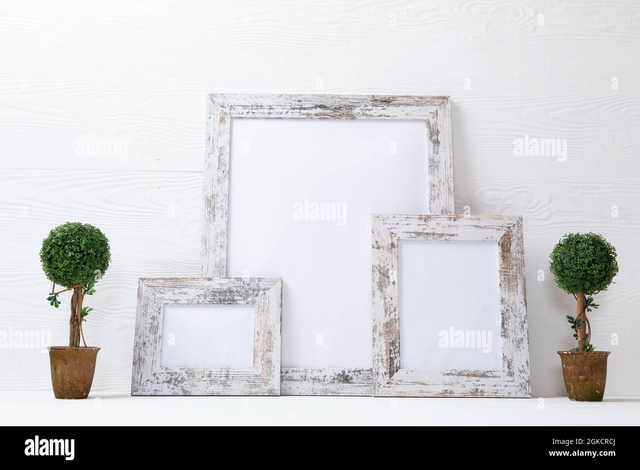 Tree frames hi-res stock photography and images - Alamy