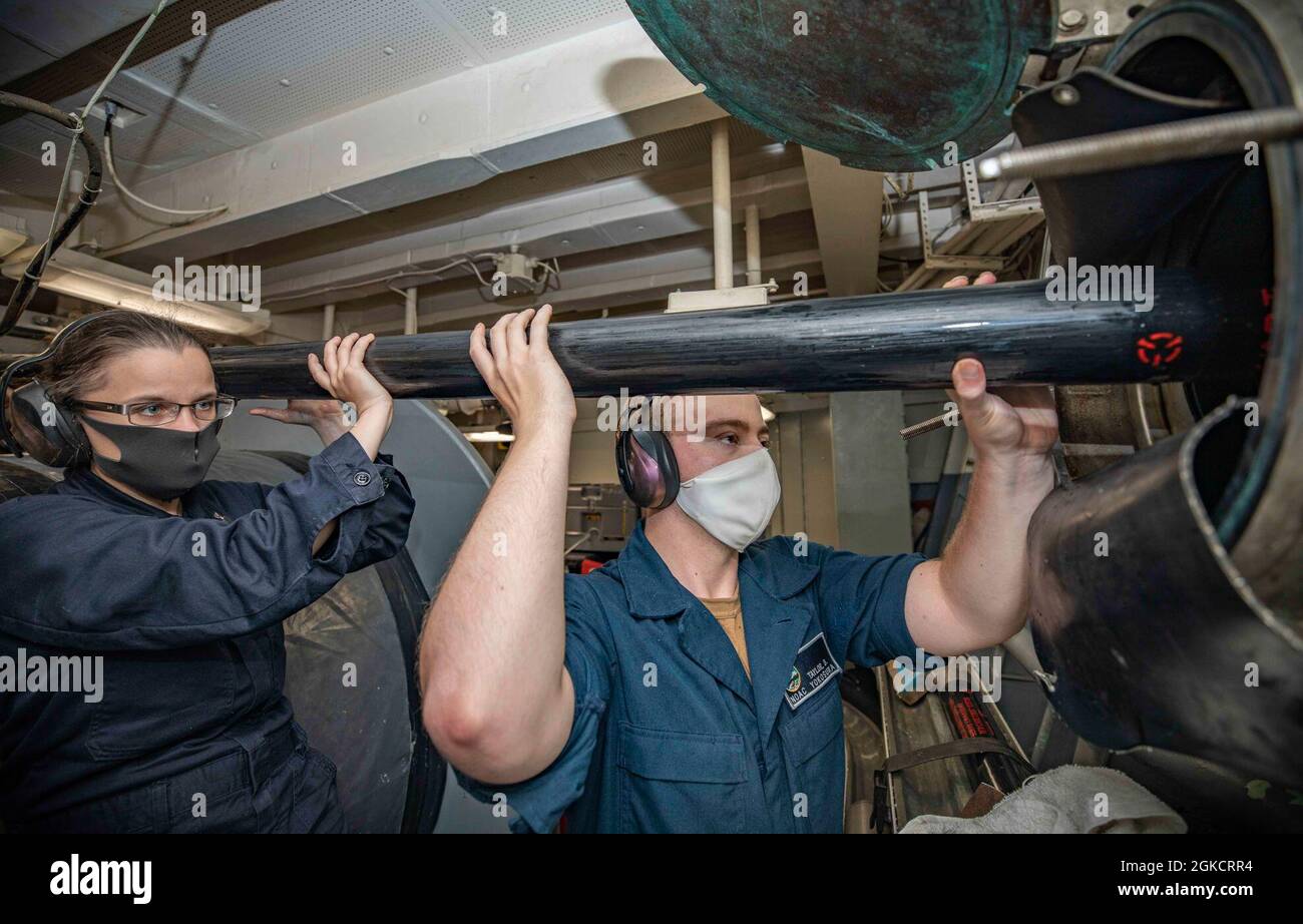 Janelle Brown Lab Rats