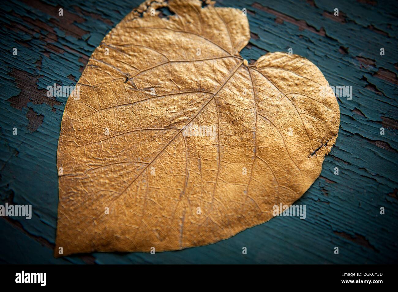 Gold leaf goldleaf hi-res stock photography and images - Alamy