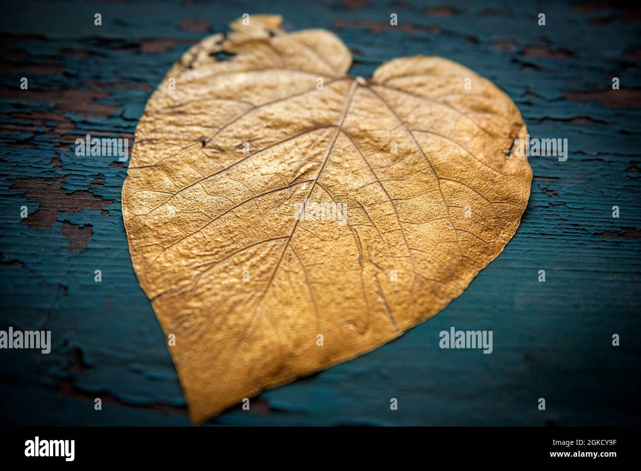 Gold leaf goldleaf hi-res stock photography and images - Alamy