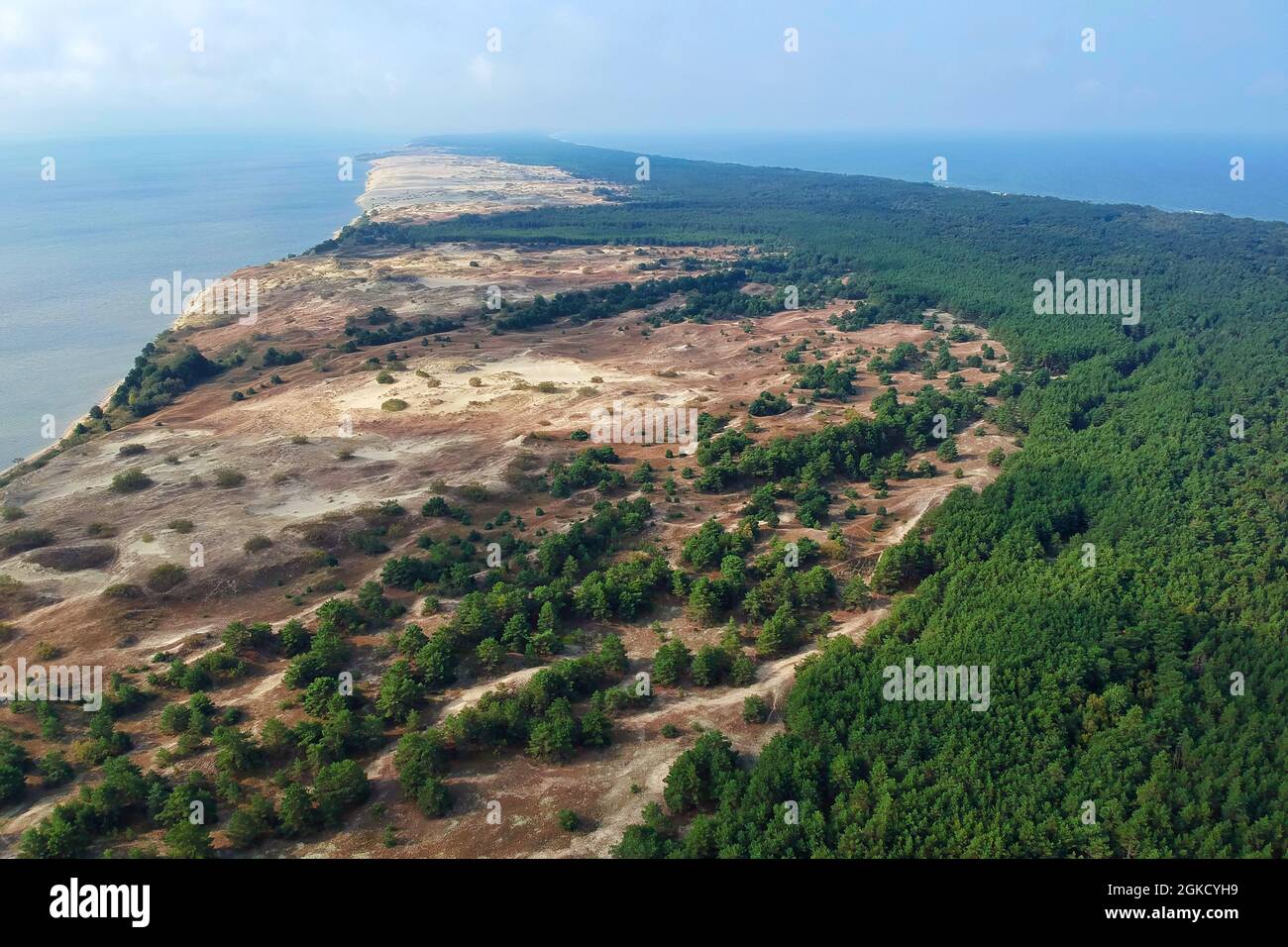 the national park Curonian Spit from above, aerial view of a sandy ...