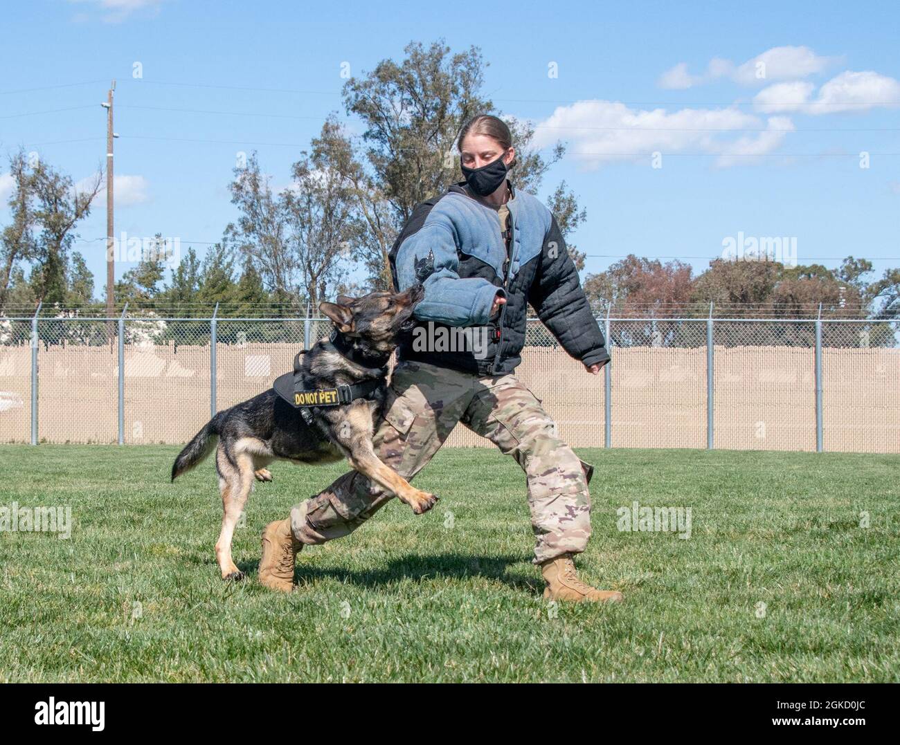 U.S. Air Force Staff Sgt. Alexa Ammerman, 60th Security Forces military ...