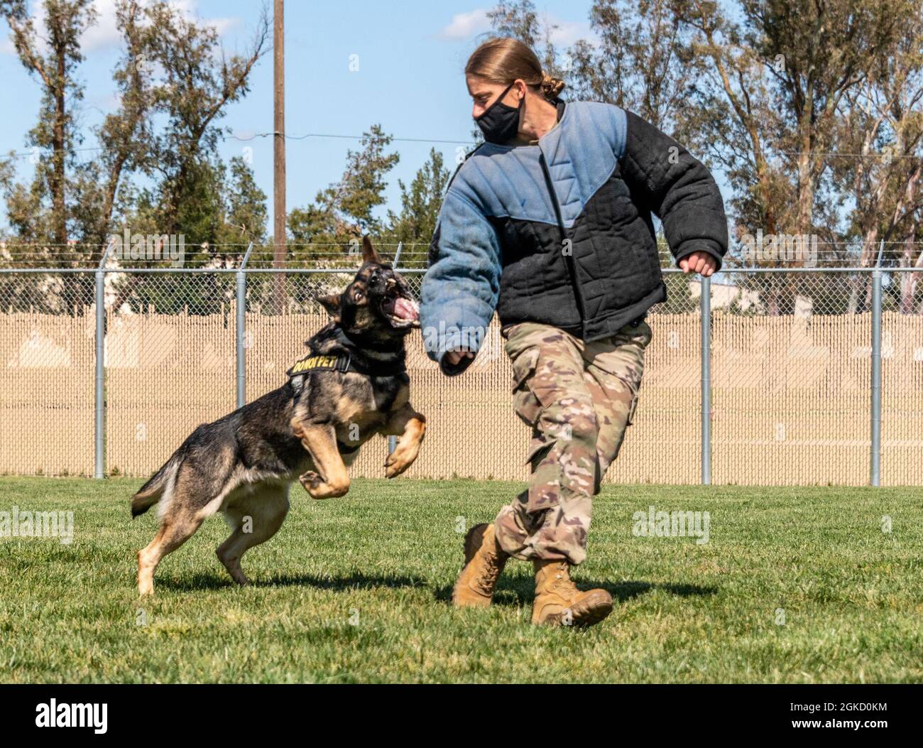 U.S. Air Force Staff Sgt. Alexa Ammerman, 60th Security Forces military ...