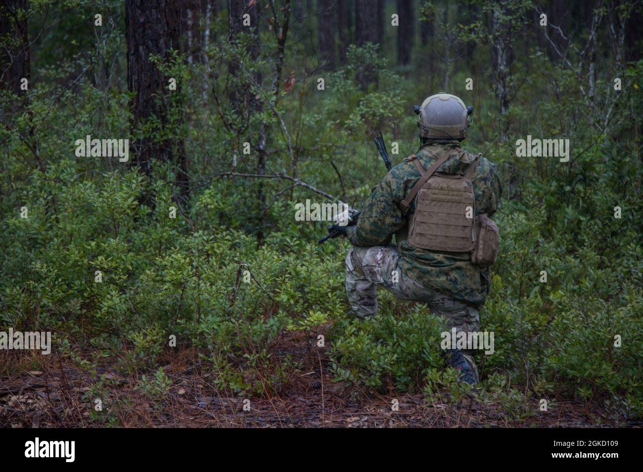 Special Operations Capability Specialists with 2nd Marine Raider ...
