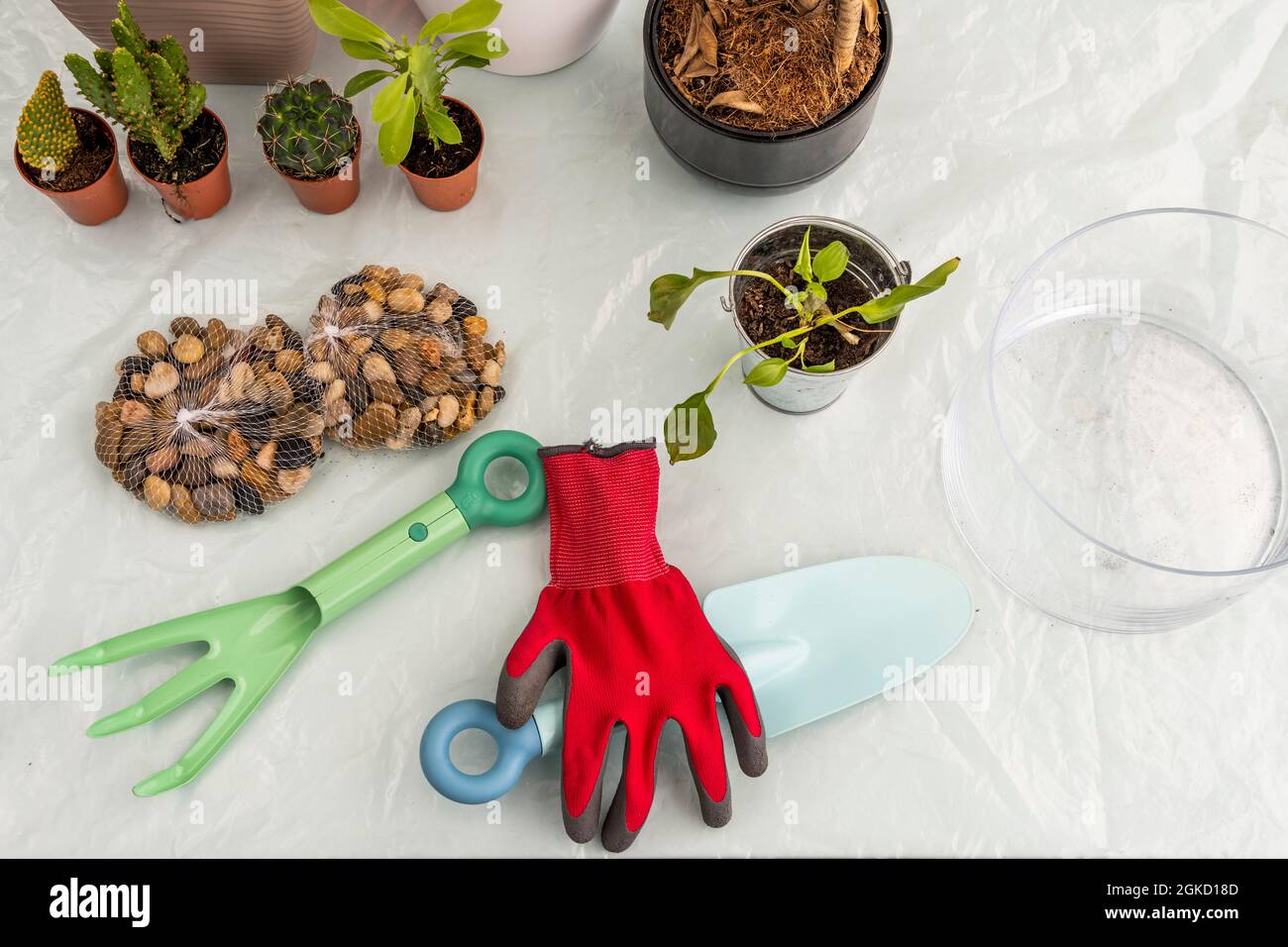 Decorative stone bags, gardener tools and juno glove with plants and ...