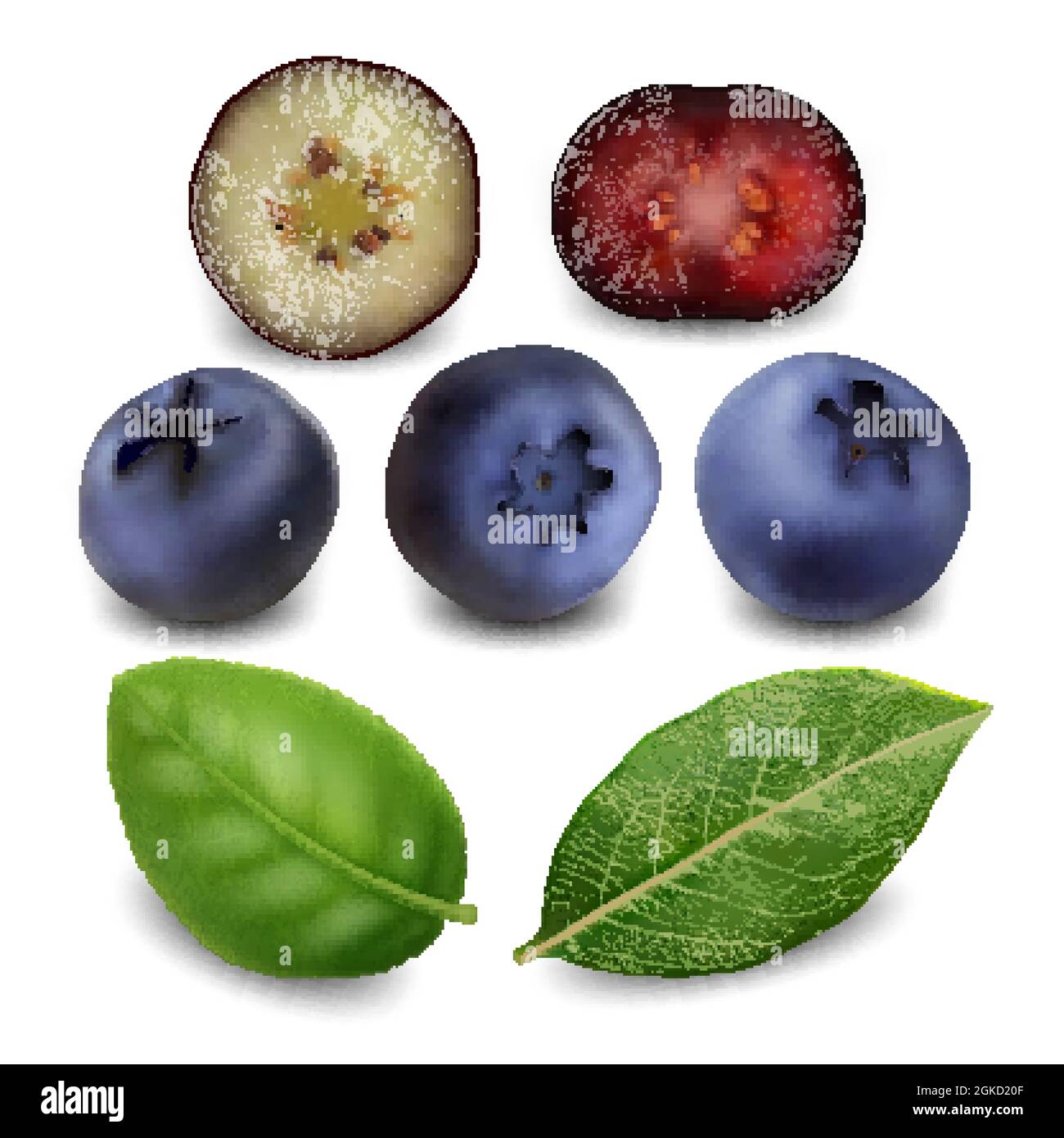 Blueberry And Huckleberry Berries Food Set Vector Stock Vector Image ...