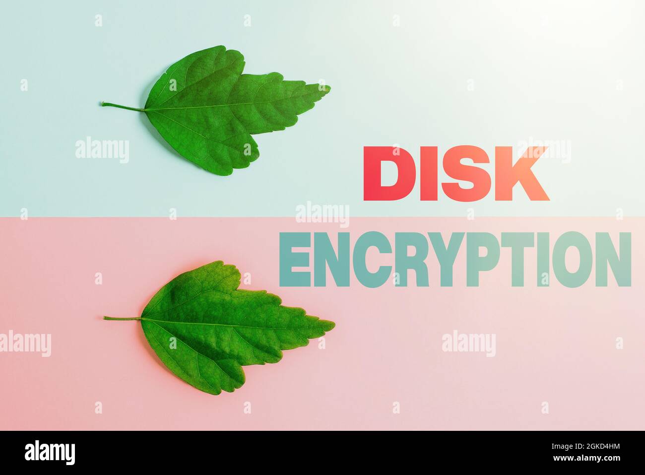 Text showing inspiration Disk Encryption. Business idea the security mechanism used to protect ...