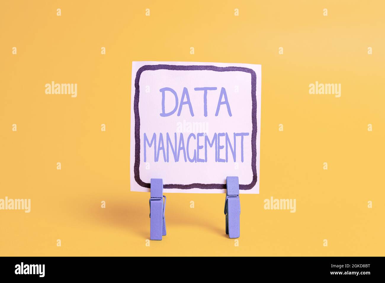 Text caption presenting Data Management. Business idea disciplines related to managing data as a ...