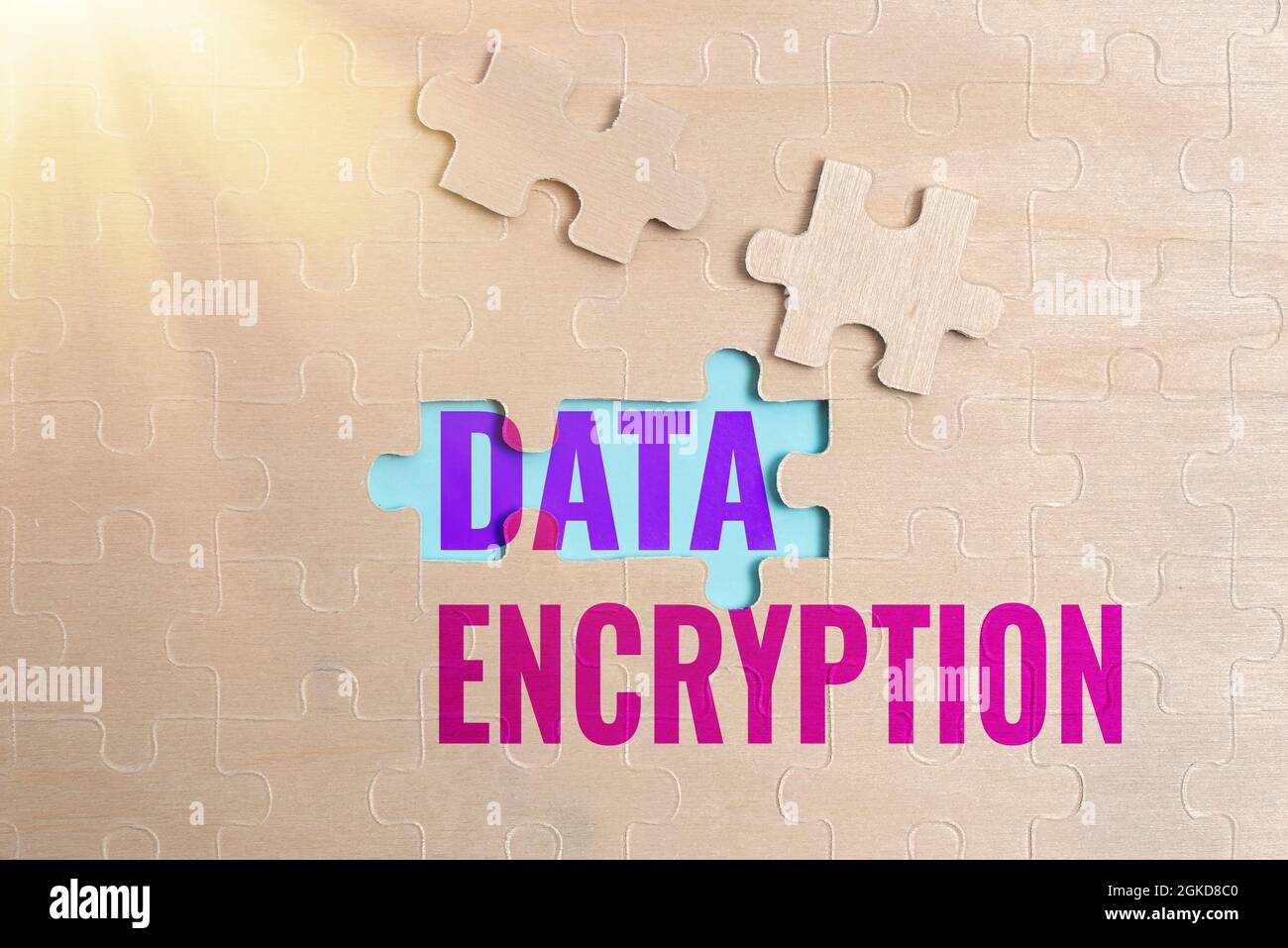 Conceptual Caption Data Encryption Internet Concept Conversion Of Data Into Code For