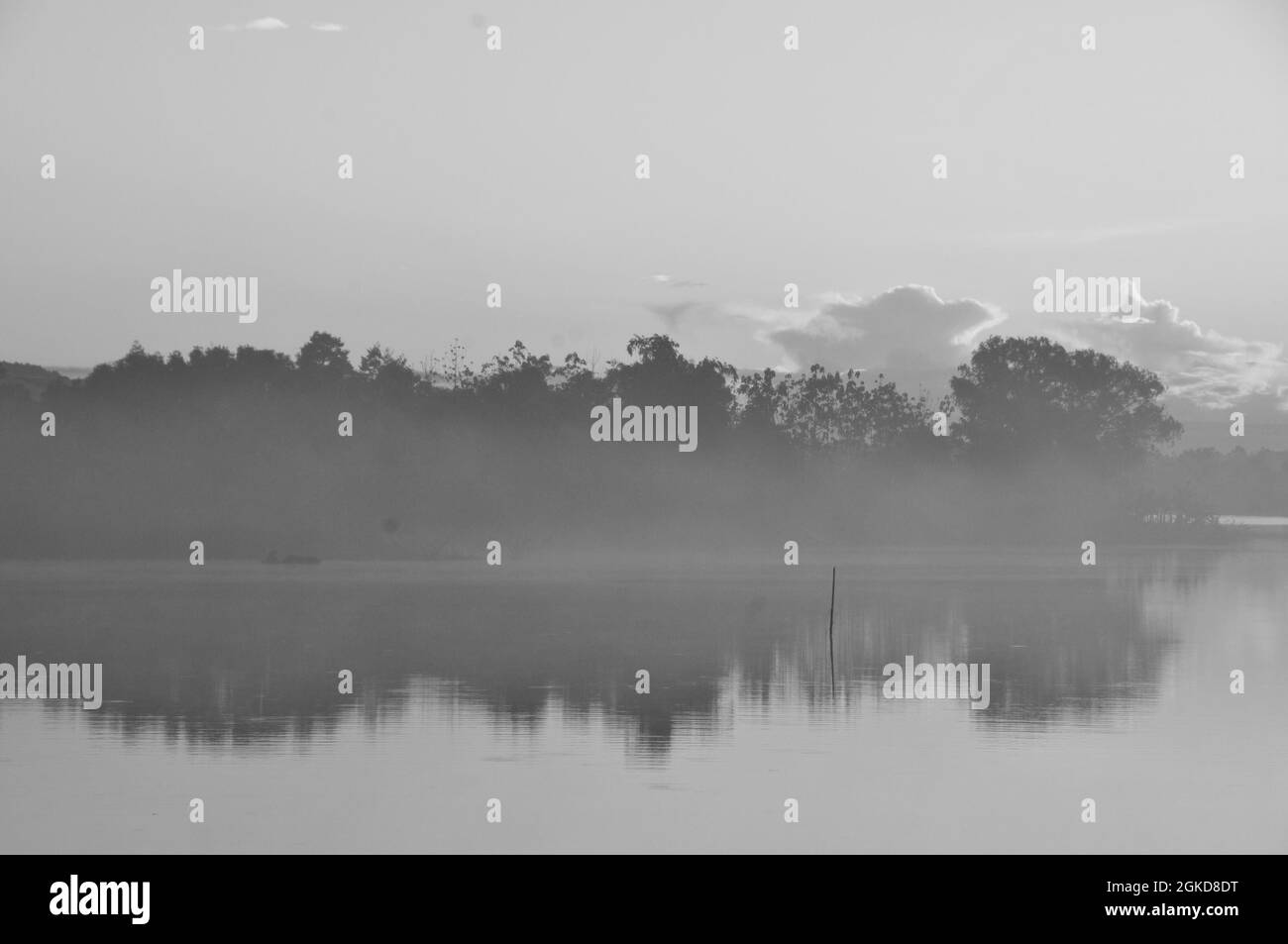 Pleiku hi-res stock photography and images - Alamy