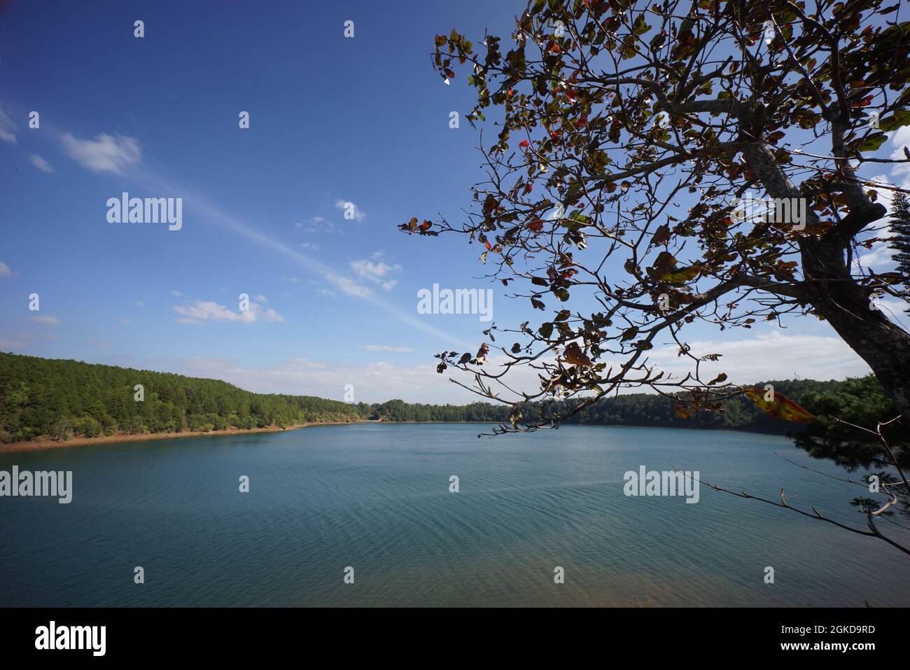 Pleiku hi-res stock photography and images - Alamy