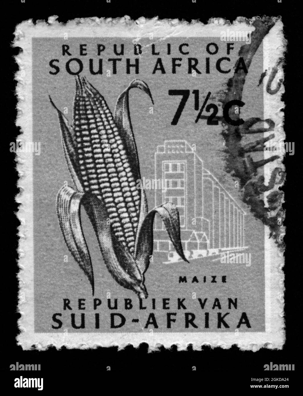 Maixe images Black and White Stock Photos & Images - Alamy