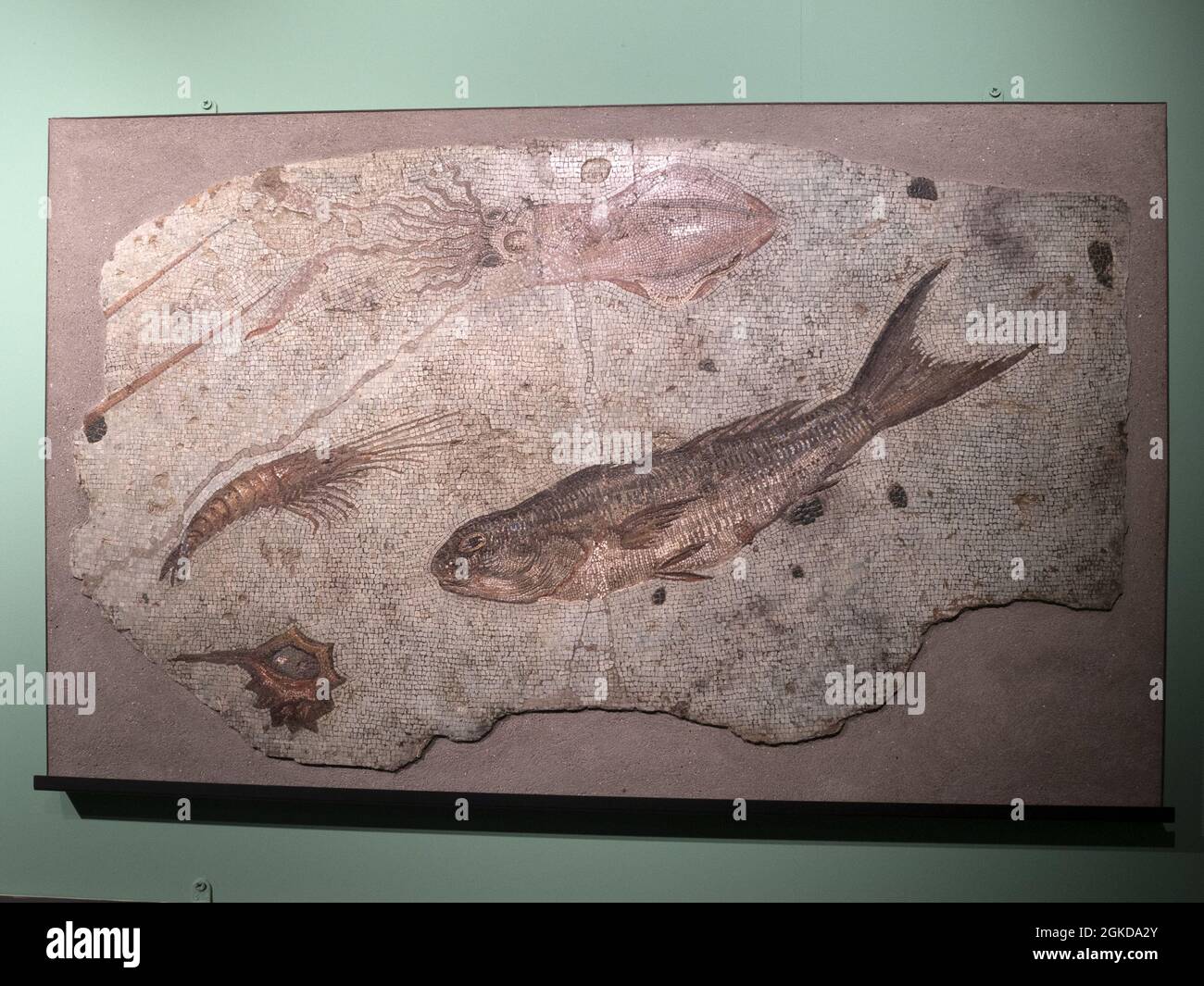 Old Ancient roman mosaic detail fish Stock Photo - Alamy