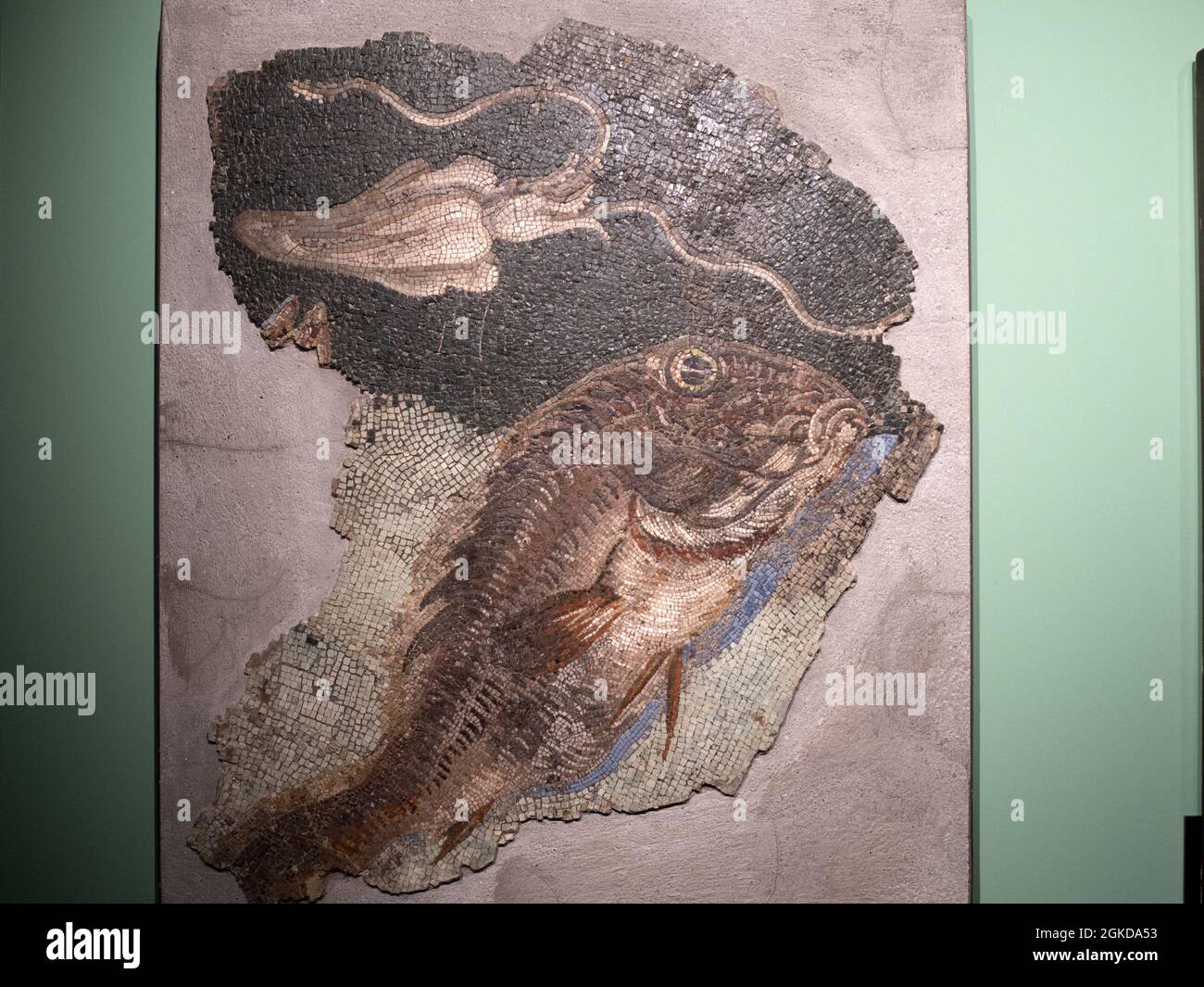 Ancient greek fish mosaic hi-res stock photography and images - Alamy