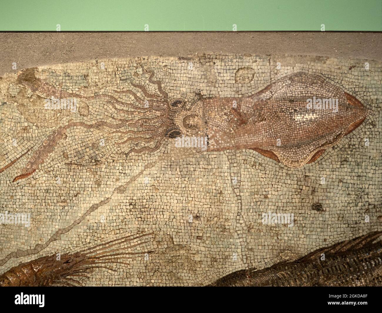 Old Ancient roman mosaic detail squid Stock Photo - Alamy