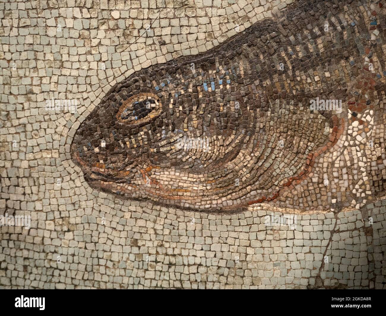 Old Ancient roman mosaic detail fish Stock Photo - Alamy