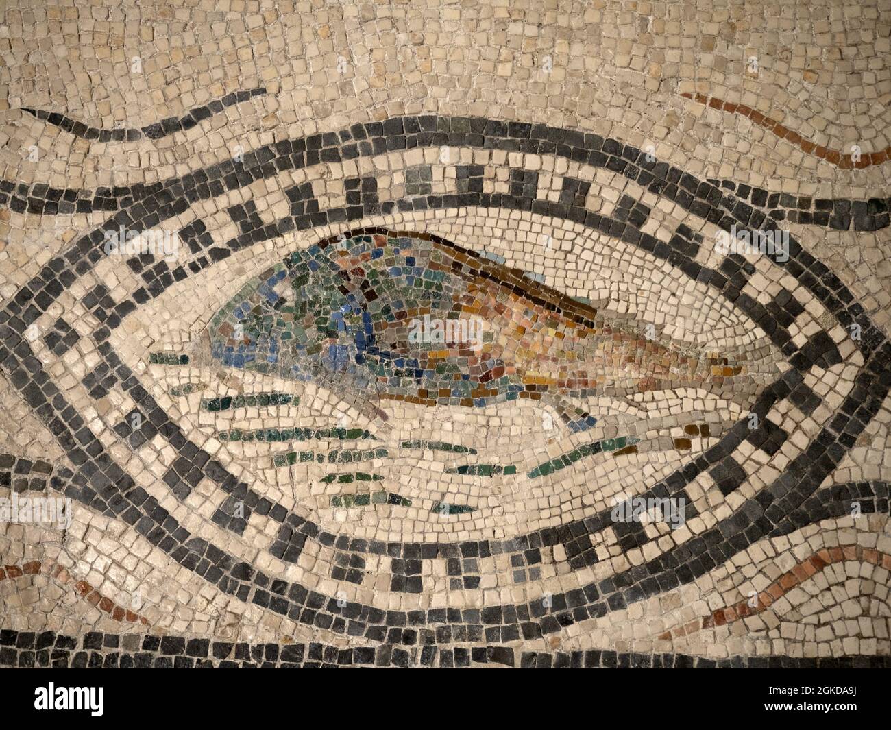Old Ancient roman mosaic detail fish Stock Photo - Alamy