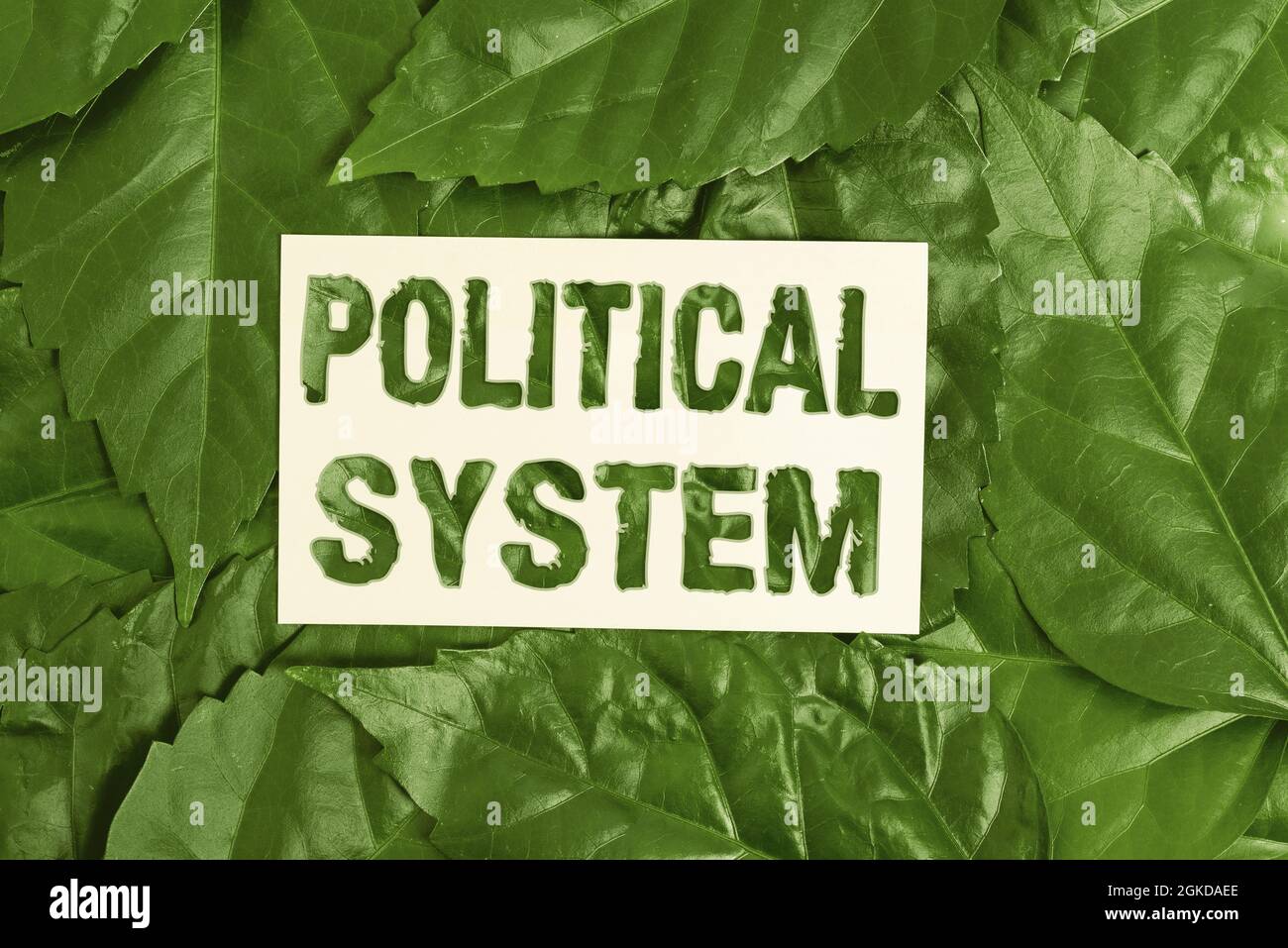 Conceptual caption Political System. Business approach the process for ...