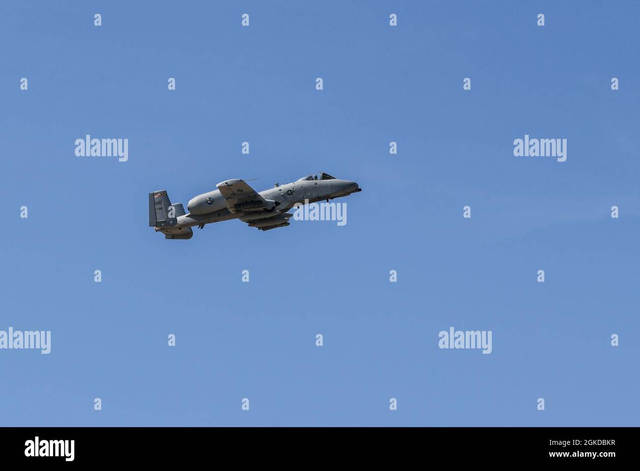 Five A-10 Thunderbolt IIs from the 104th Fighter Squadron, Maryland Air ...