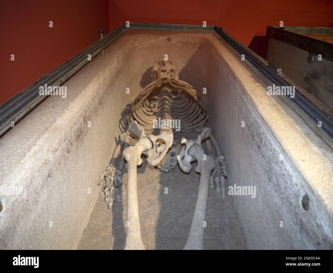 skeleton in roman marble sarchophagus tomb Stock Photo - Alamy