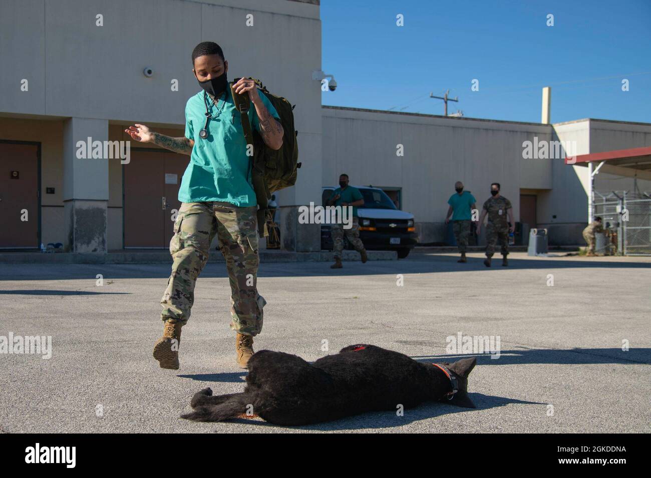 U.S. Army SGT Danielle Vaughn, 94th Engineer K9 Detachment, Fort ...