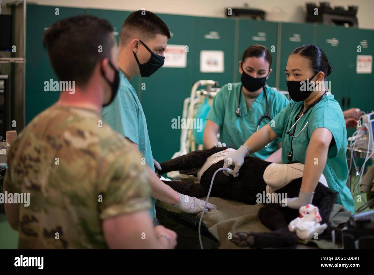 Fort campbell veterinary center hi-res stock photography and images - Alamy