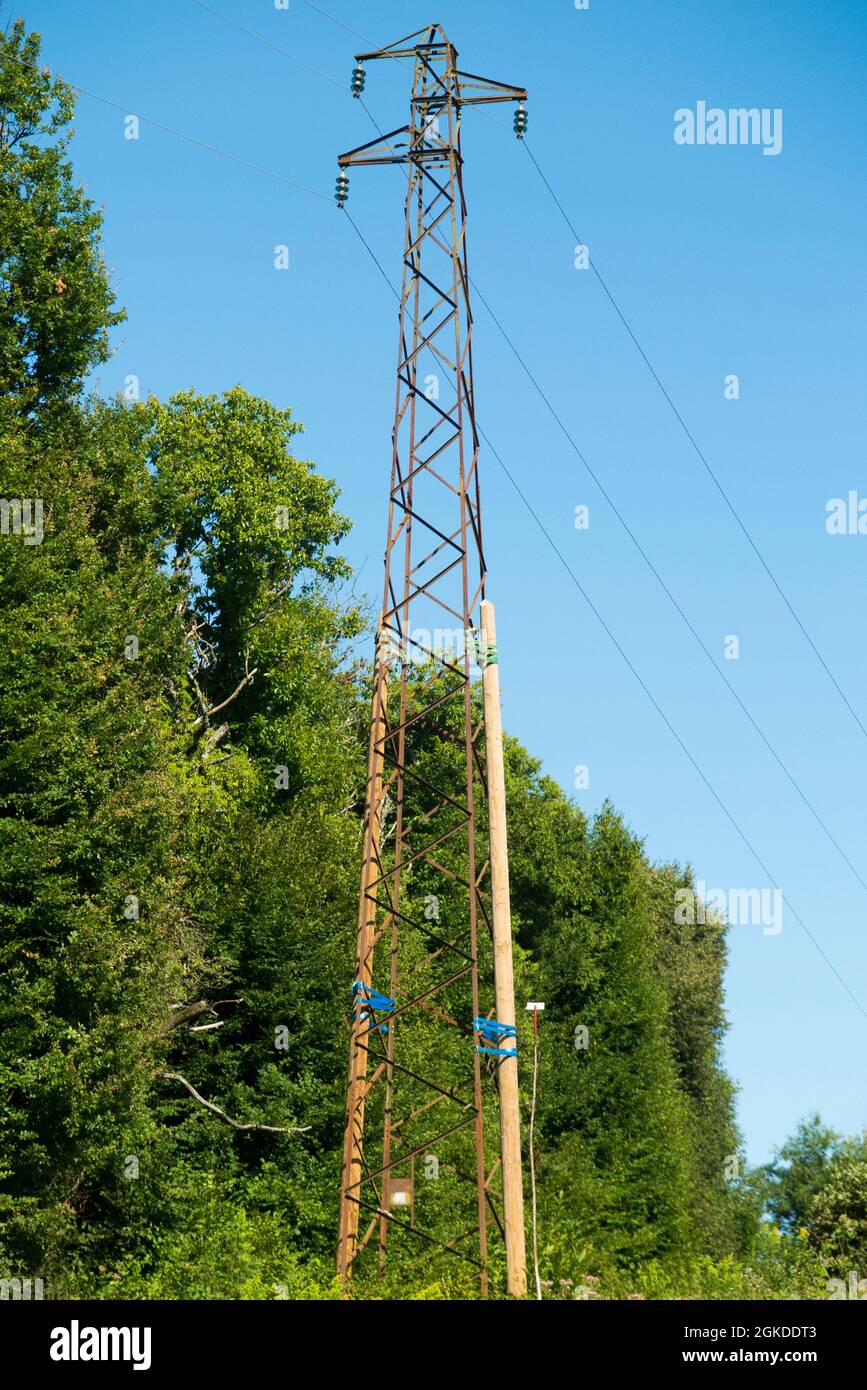 Rather elderly electricity pylon strengthened with wooden tree trunk ...