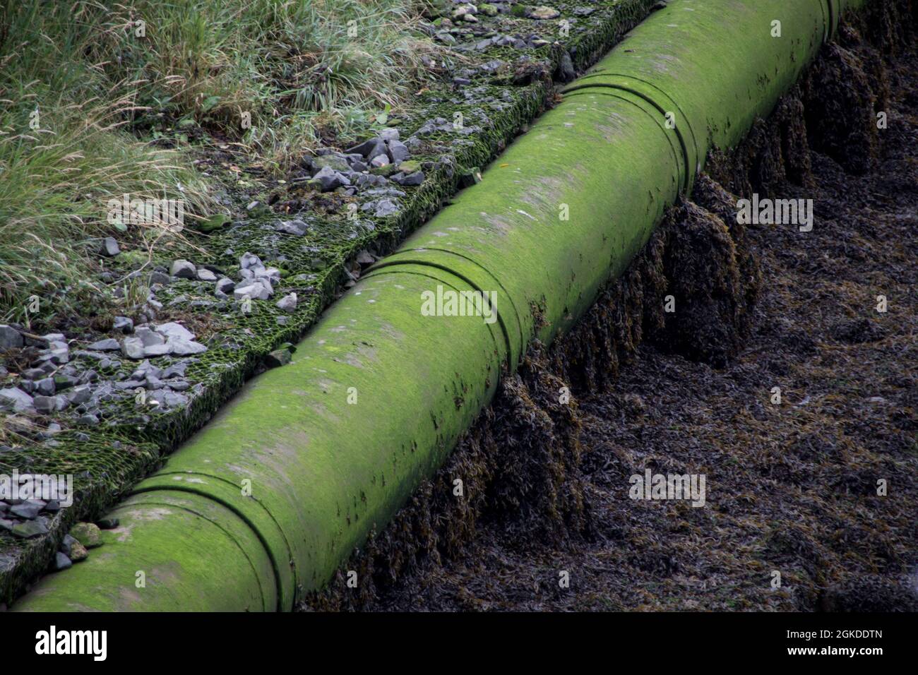 Old waste water pipe at a town river estuary Stock Photo - Alamy