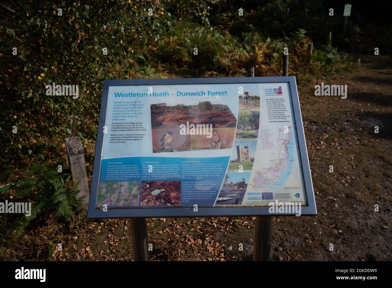 Westleton suffolk england hi-res stock photography and images - Alamy