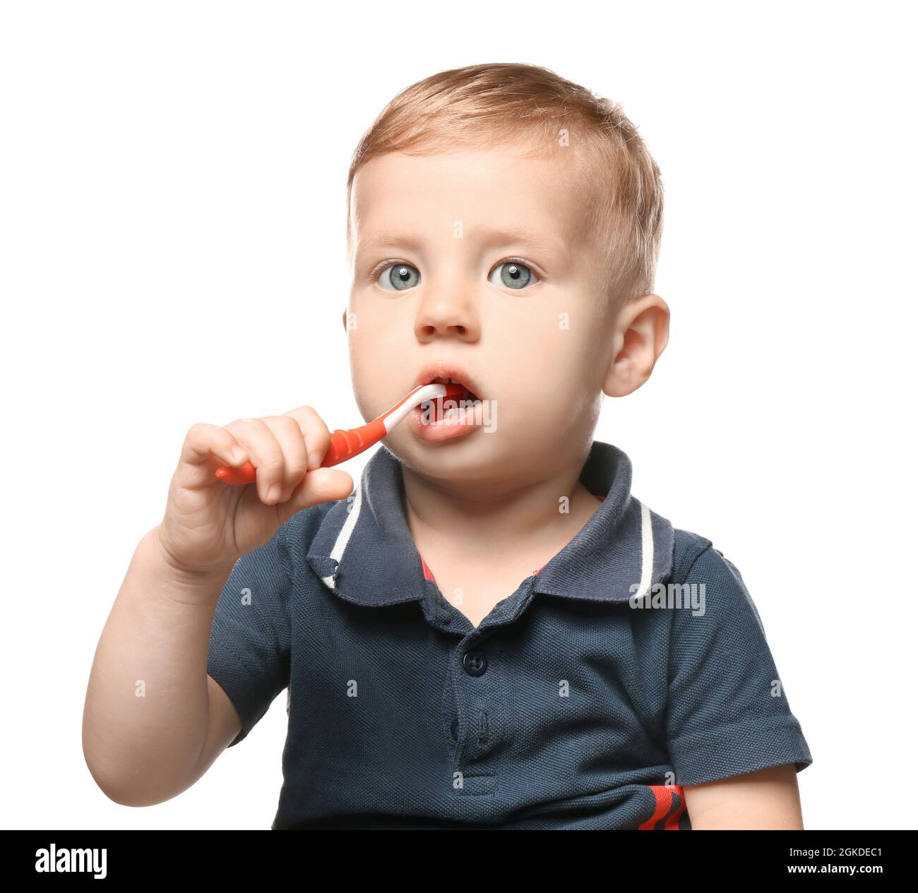 Adorable little boy brushing teeth on white background Stock Photo - Alamy