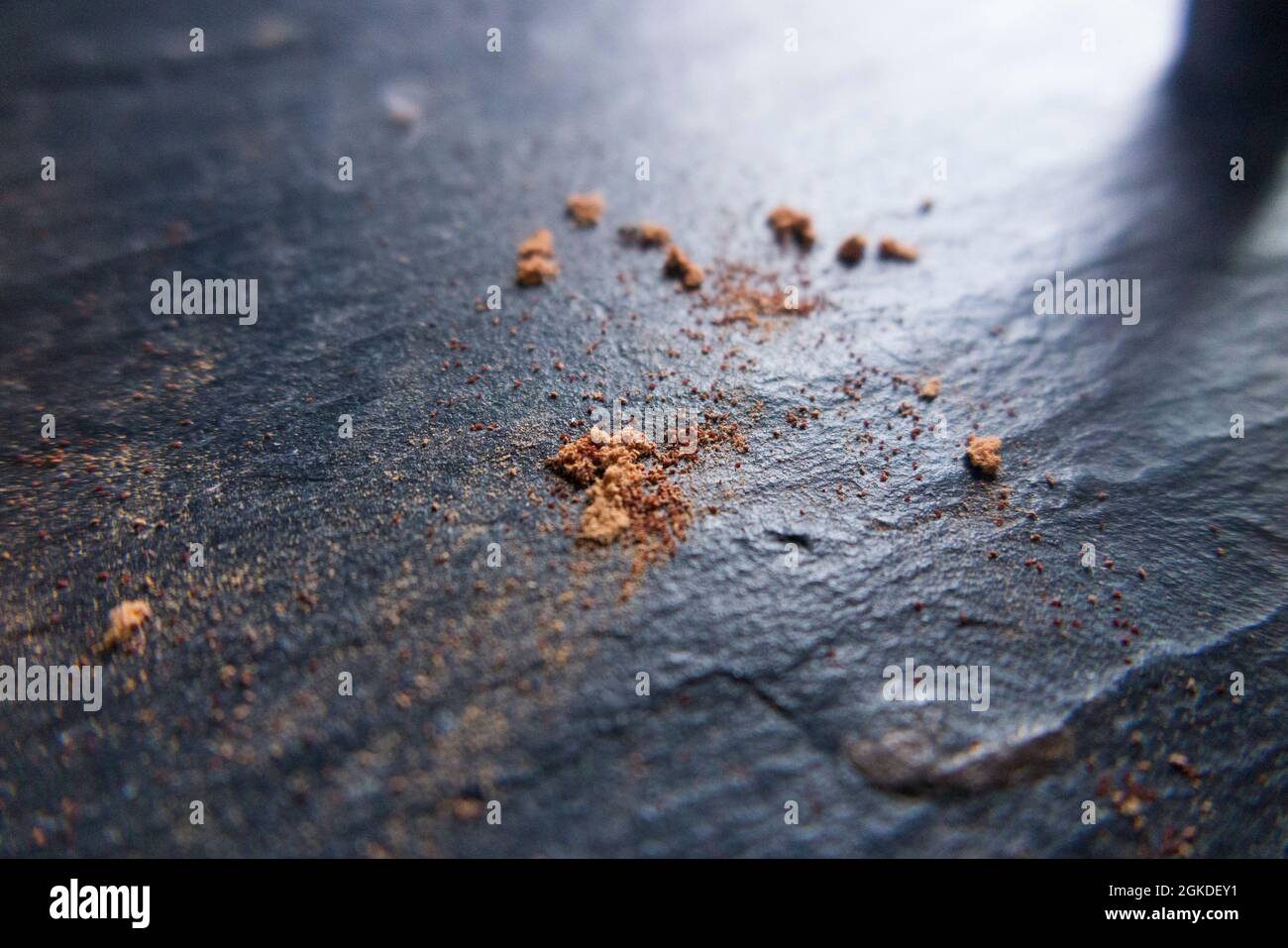 Wood boring beetle larvae grubs hi-res stock photography and images - Alamy