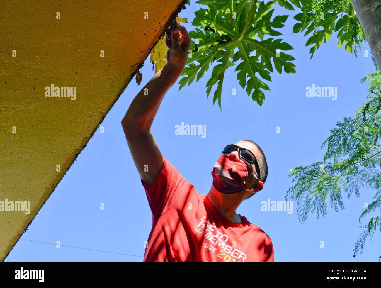 U.S. Air Force Lt. Col. Jamie Cornett, 36th Healthcare Operations ...