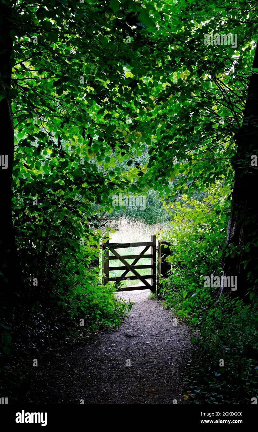 Wooden gate path pathway hi-res stock photography and images - Alamy