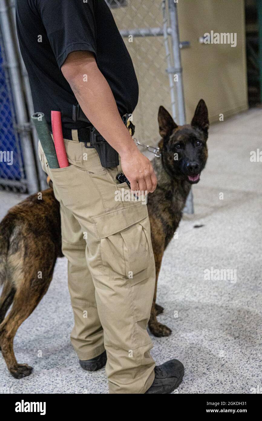 SAN DIEGO, Calif., (Mar. 22, 2021) U.S. Customs and Border Protection ...