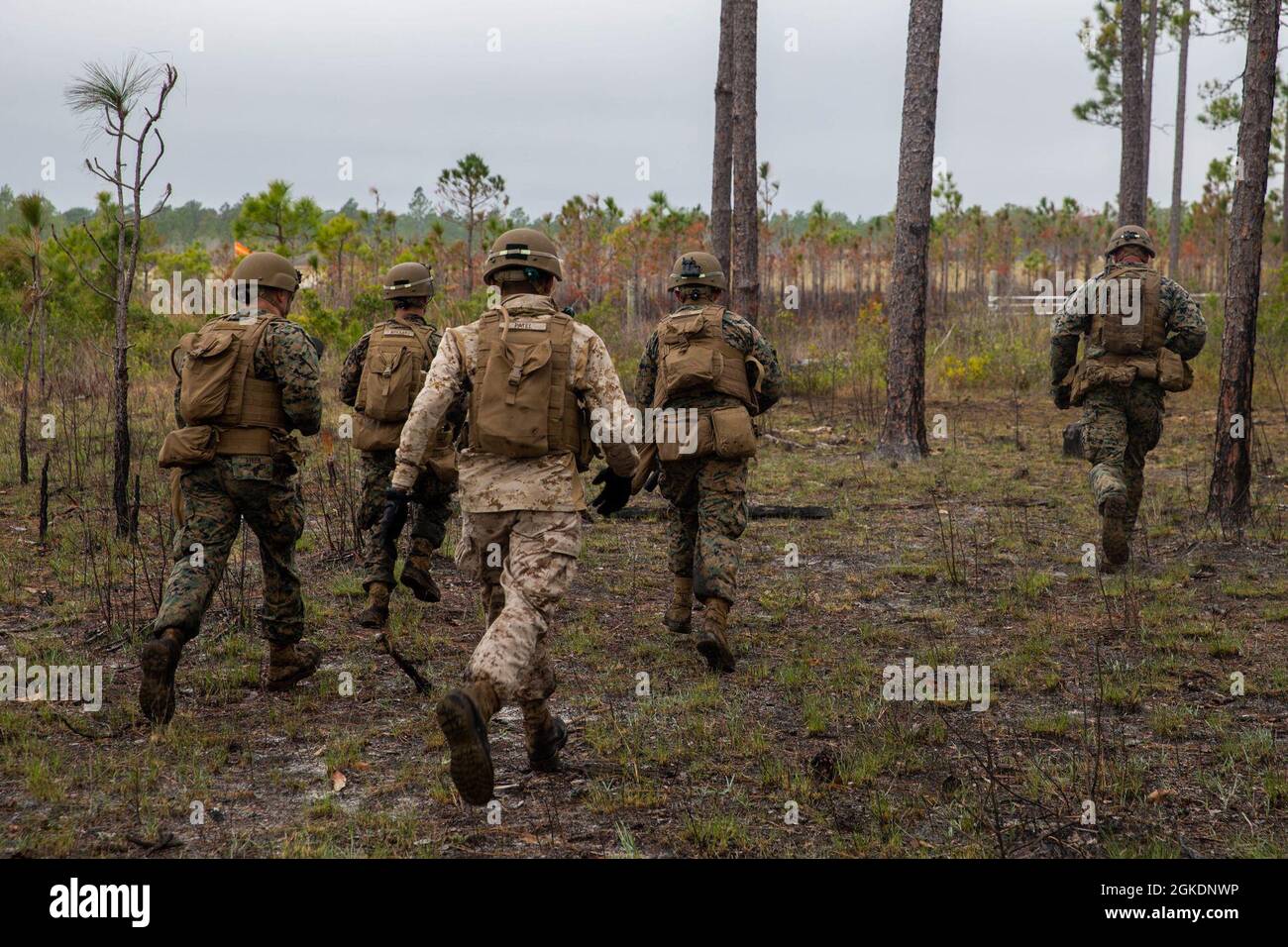 U.S. Marines with 2d Battalion, 6th Marine Regiment, 2d Marine Division ...