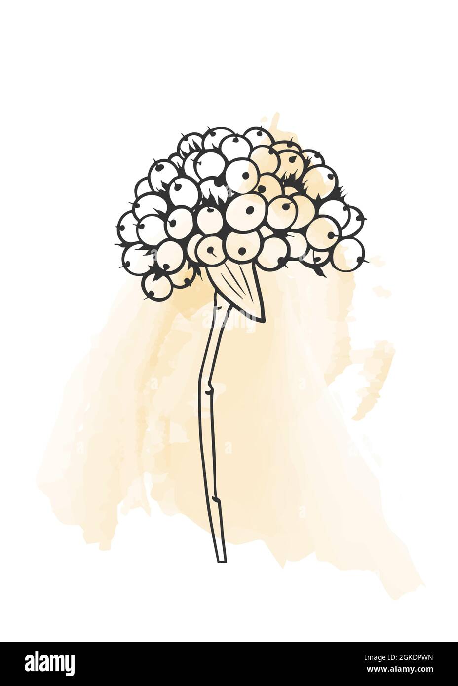 A modern universal art poster. Suitable for greeting cards,posters ...