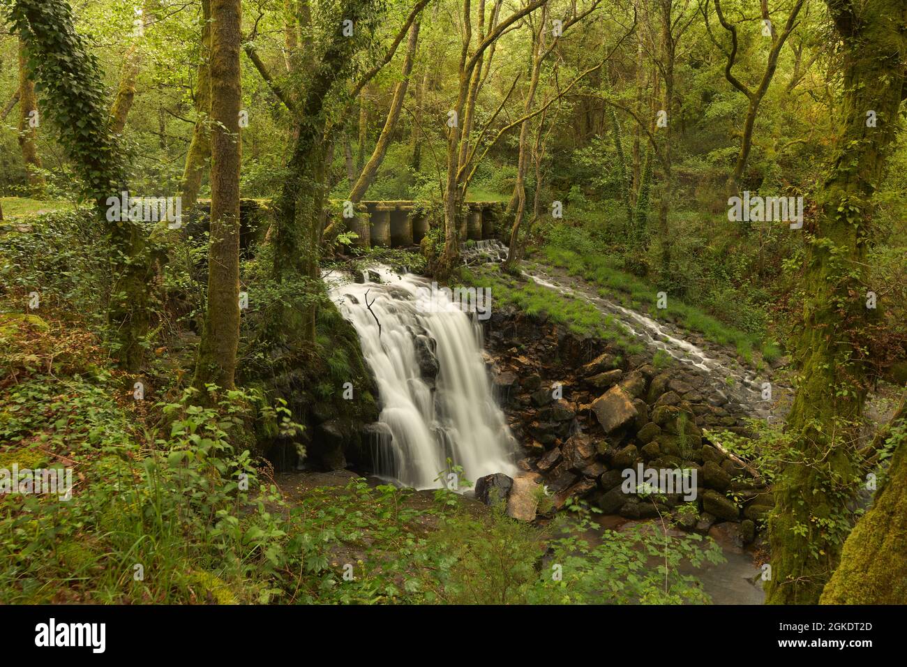 Beautiful waterfall in the dense forest Stock Photo - Alamy