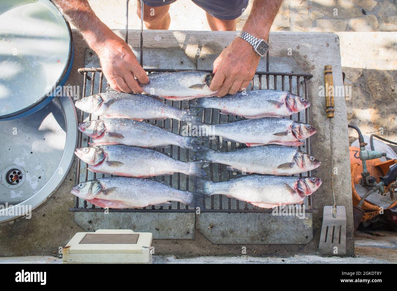 Illustrative photo, Brancin (Lubin), Common Sea Bass, fish, food ...