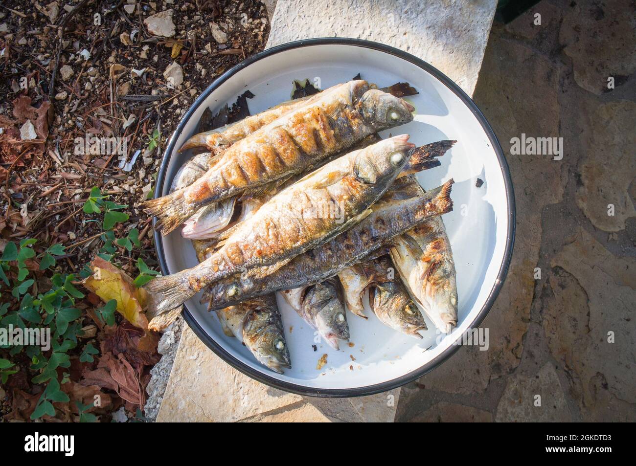 Illustrative photo, Brancin (Lubin), Common Sea Bass, fish, food ...