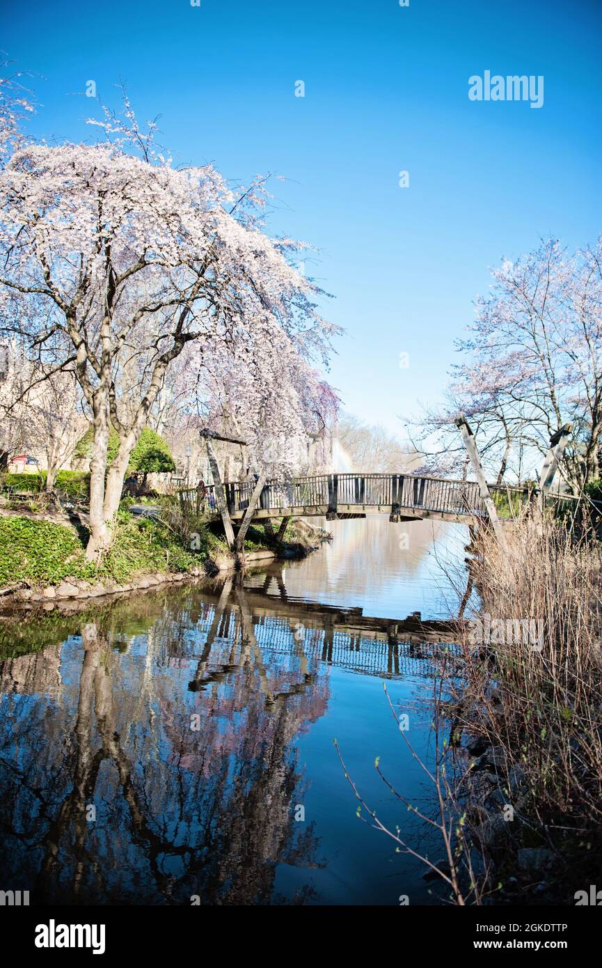 Van gough bridge hi-res stock photography and images - Alamy