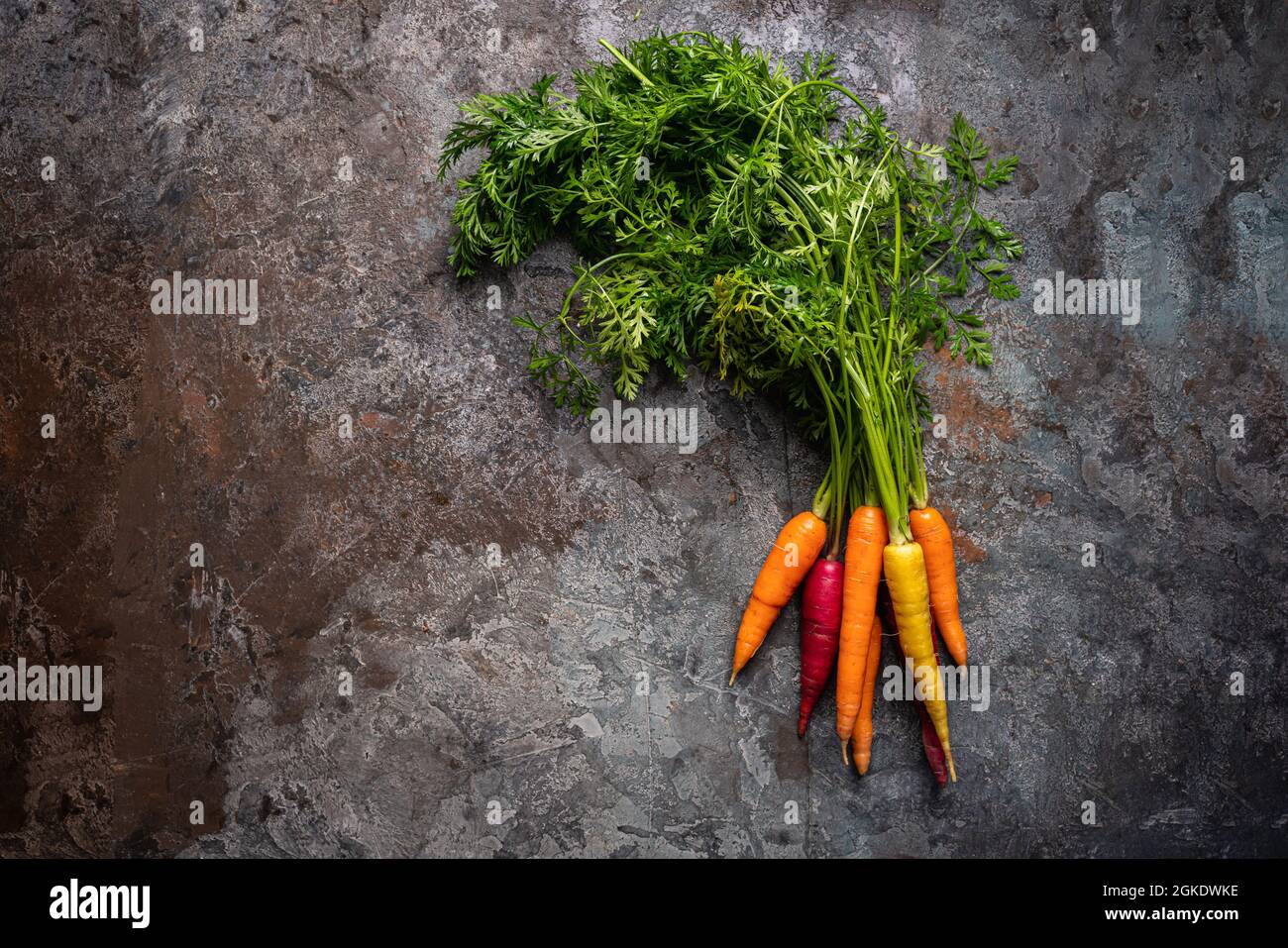 Colorful Rainbow carrot with their green leaves on gray stone ...