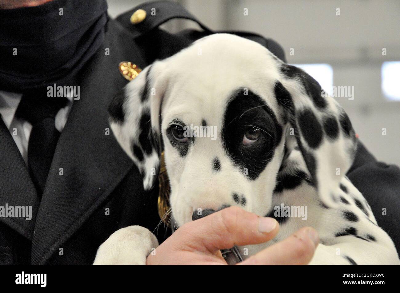 Fort carson fire department hi-res stock photography and images - Alamy